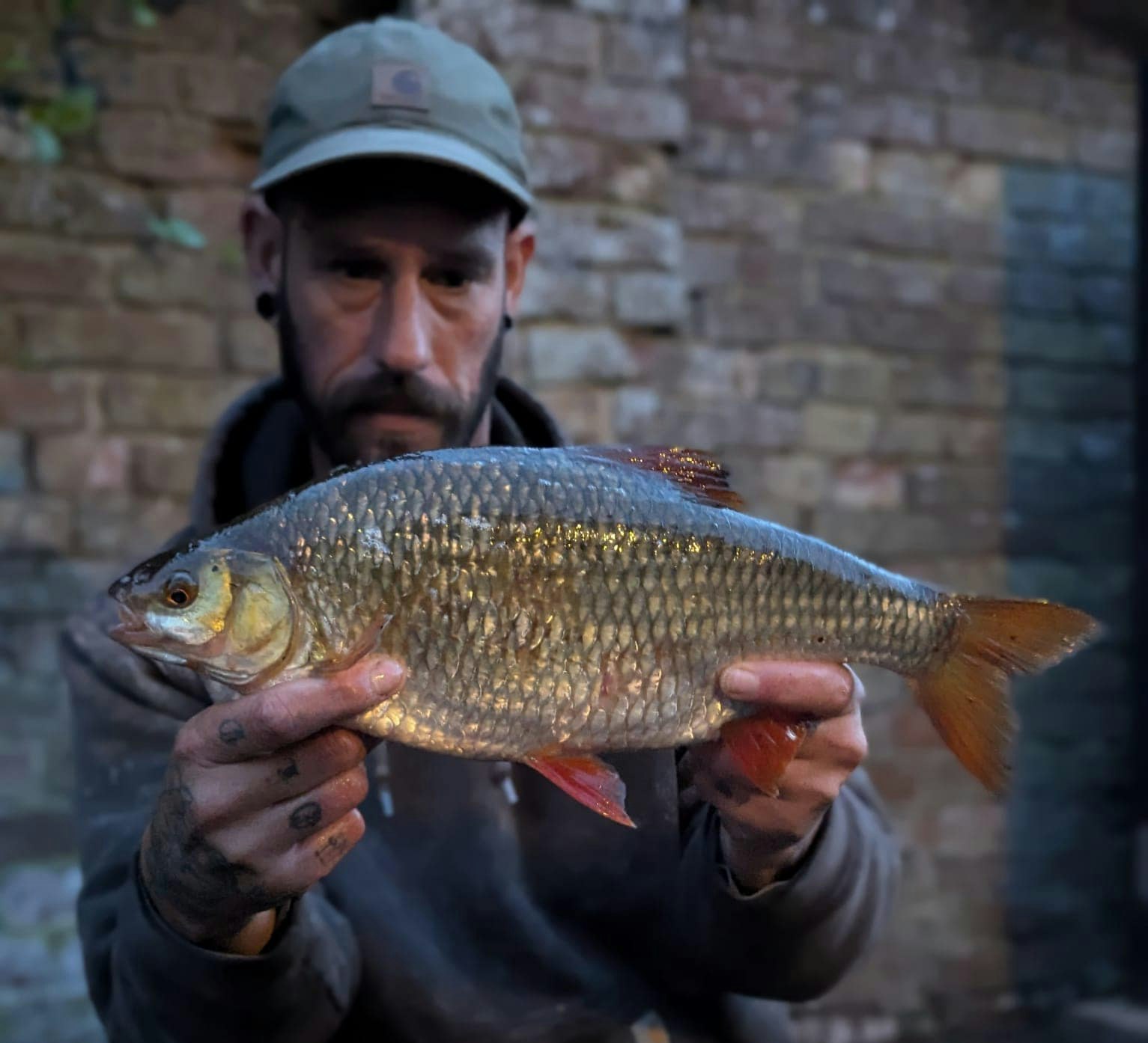 How to catch big river roach on the float
