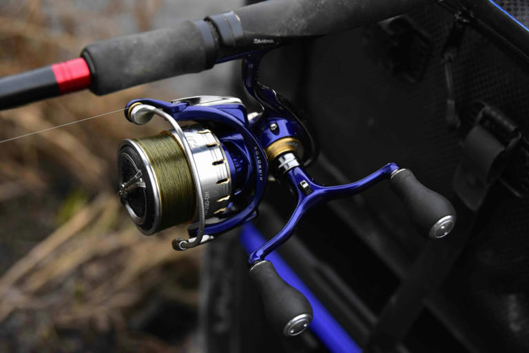 How to catch big river roach on the float