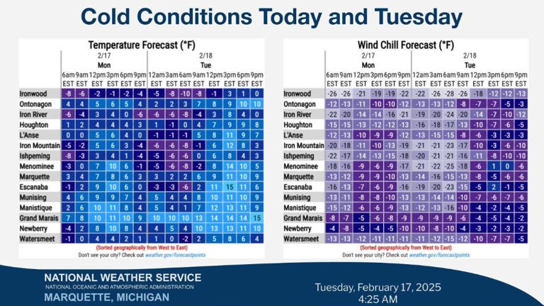 How cold is too cold to go for a walk. What you should know in Michigan