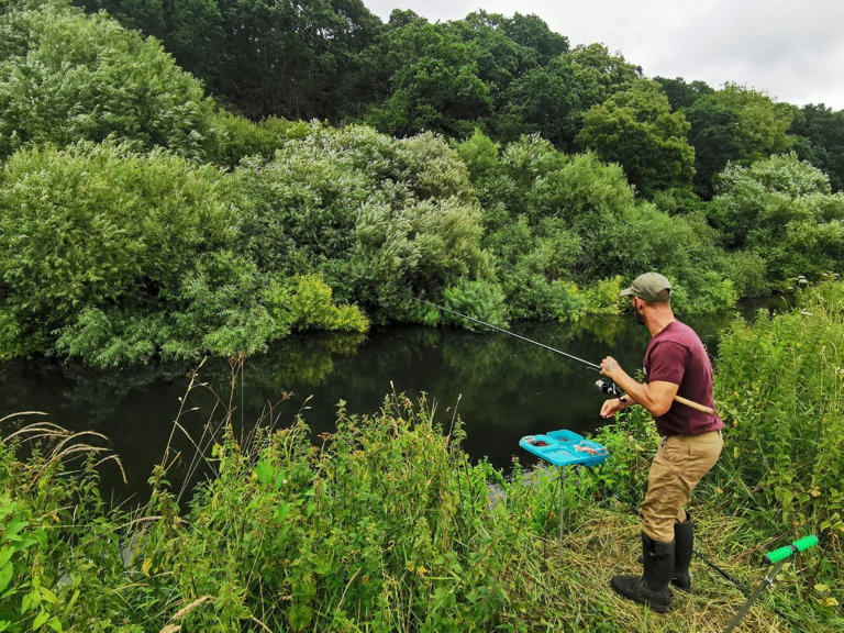 How to catch big river roach on the float