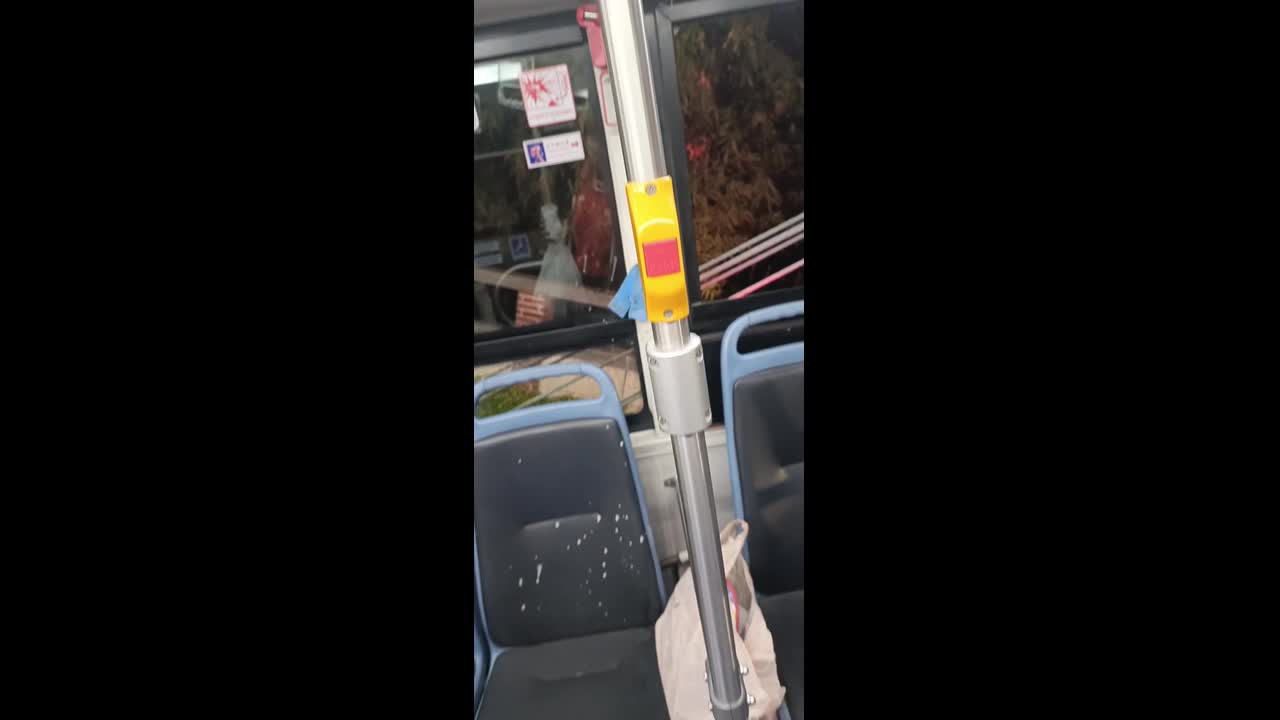 Passengers terrified as bus 'does a wheelie' and gets stuck on power lines