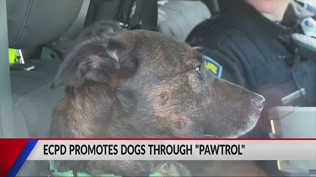 Feel Good Friday: ECPD partnering with EC Community Humane Association ...