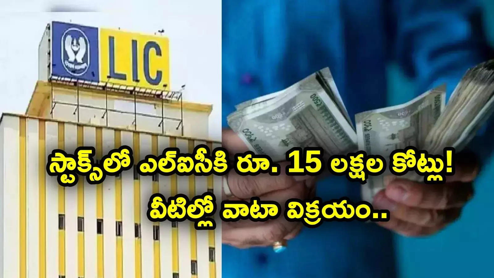 LIC Stocks: లాభాల్ని సొమ్ముచేసుకున్న ఎల్ఐసీ.. దాదాపు 100 స్టాక్స్‌లో ...