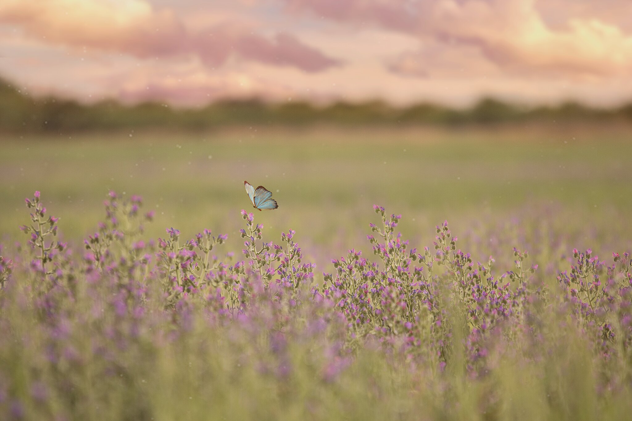 20 Unique Natural Ecosystems You’ve Never Heard Of