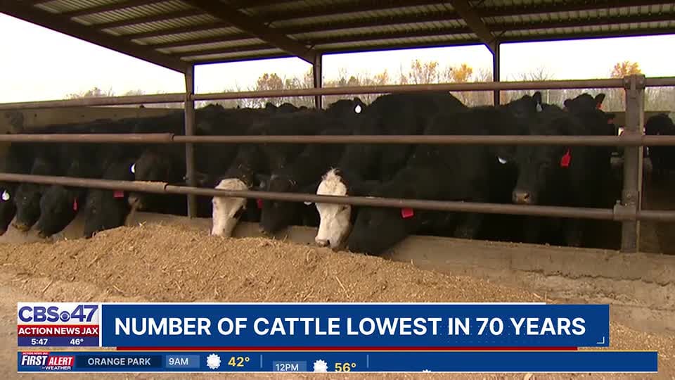 Beef prices in U.S. at all time high due to record low cattle numbers