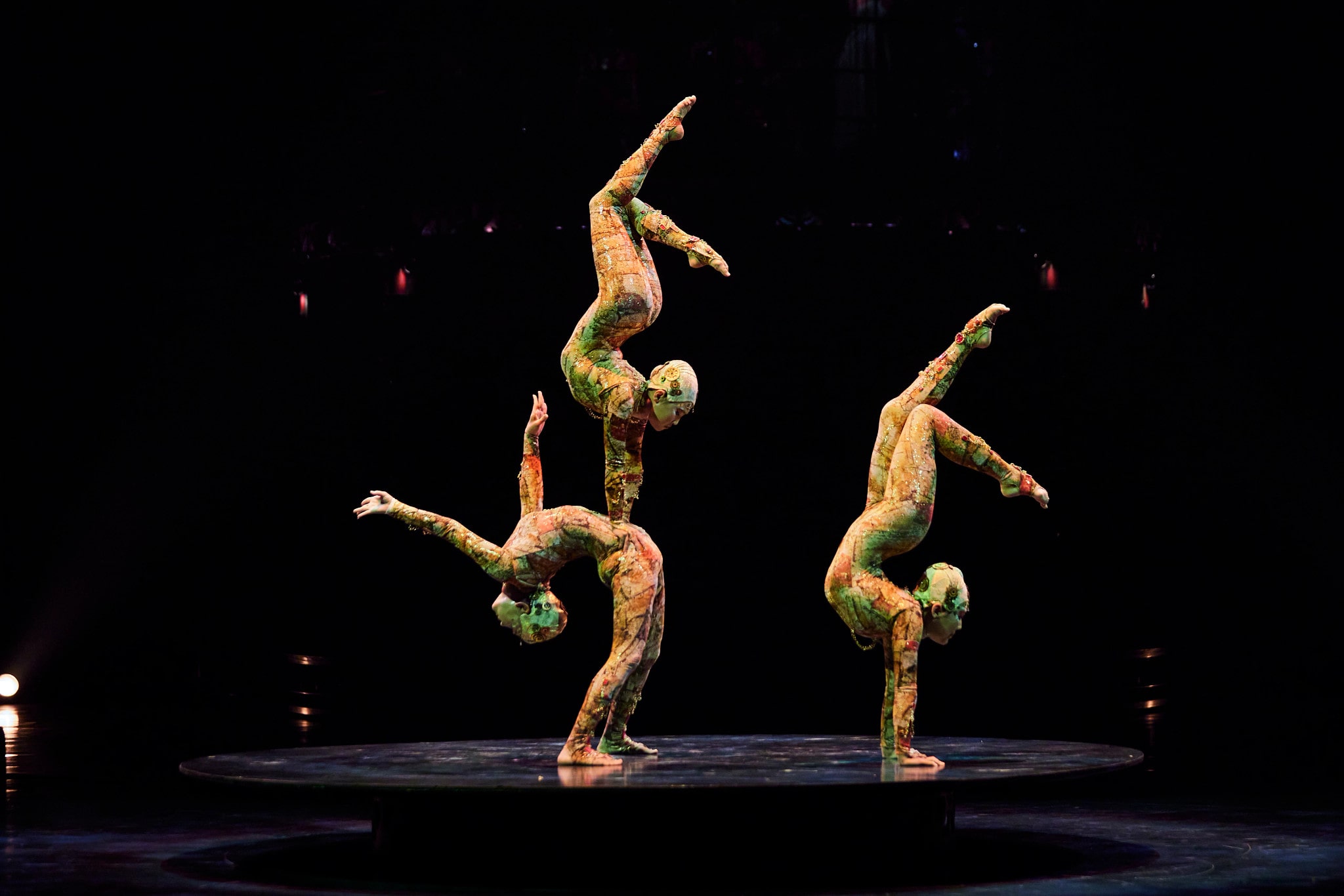 From a Mongolian contortion school to Cirque du Soleil