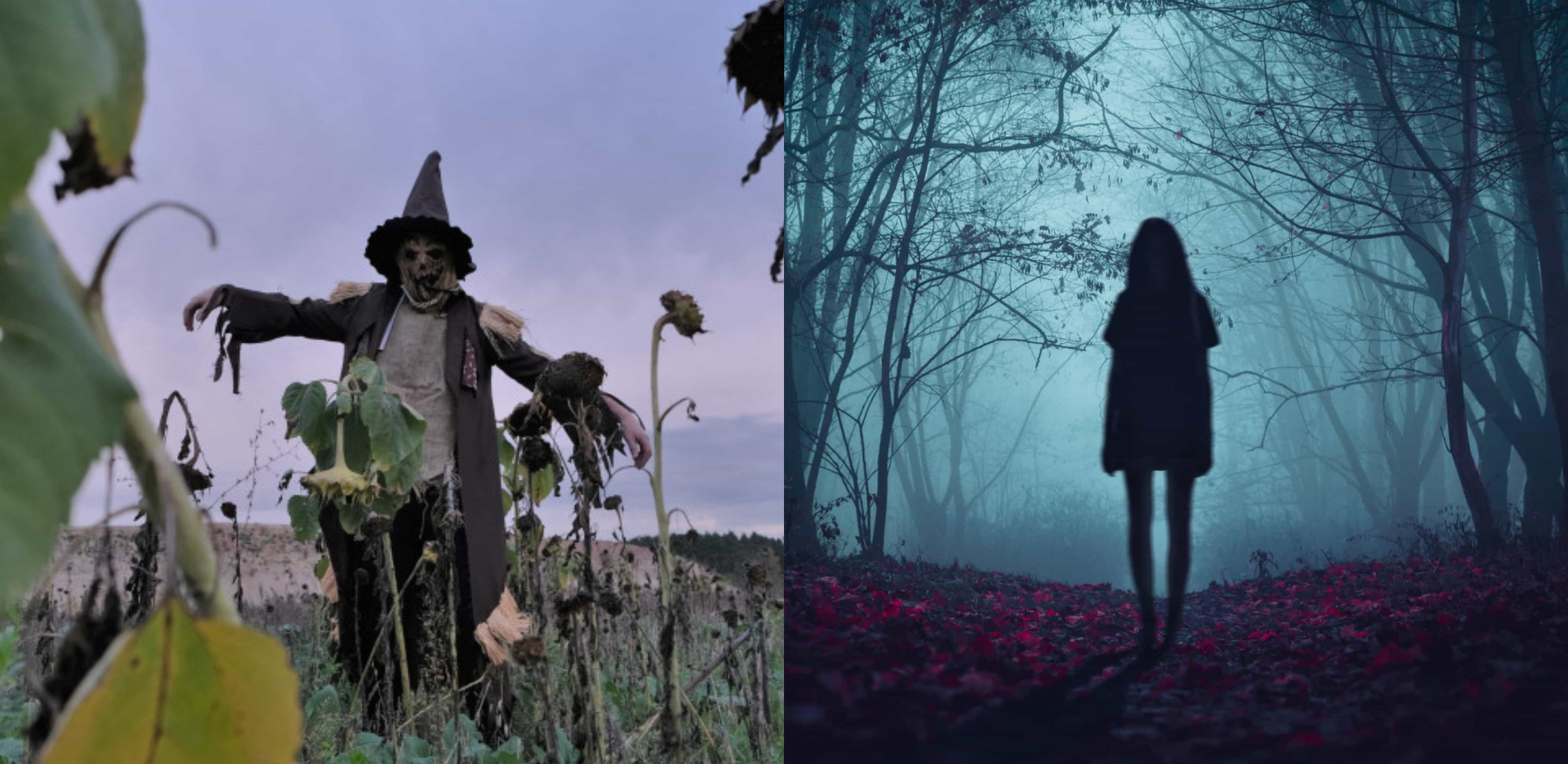 Spooky urban legends from Japan