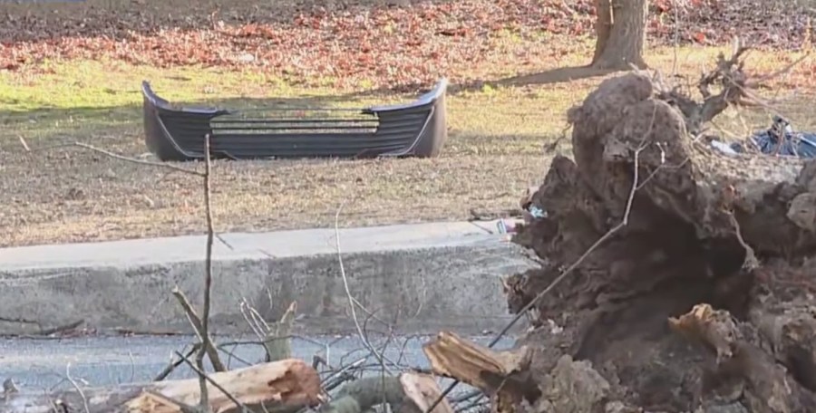Woman dies from toppled tree amid strong winds