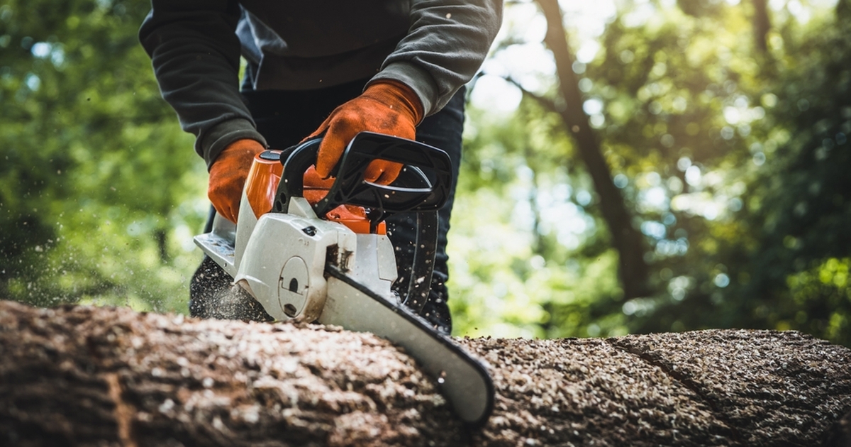 Neuer Trend bereitet den Firmen Sorgen – was steckt dahinter?: Gen Z ...