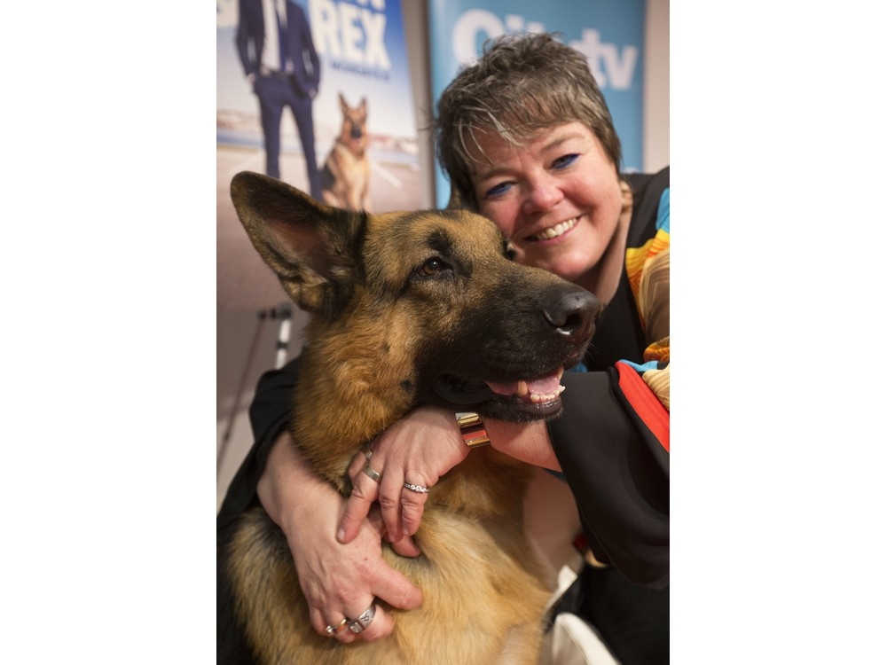 'Hudson and Rex' dog Diesel vom Burgimwald dead at 8: 'A true star'