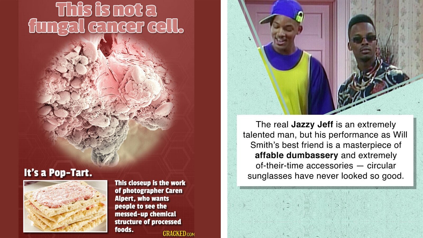 36 Frigid Bits of Trivia That Won't Give You Brain Freeze
