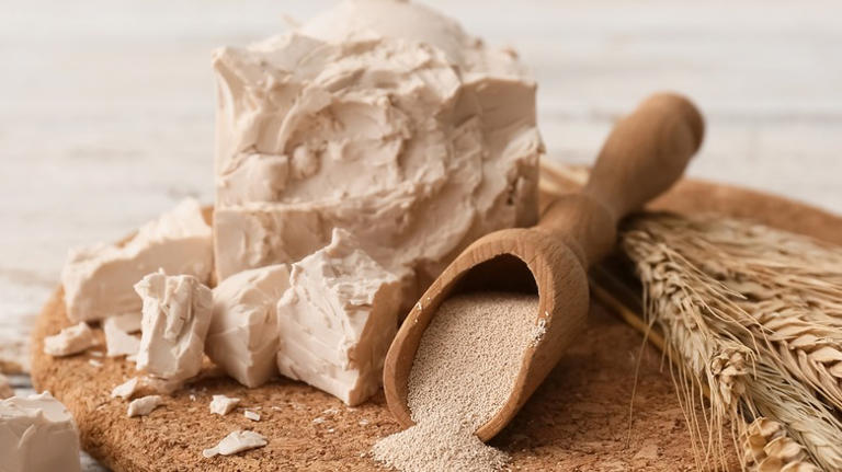 How Does Yeast Actually Work?