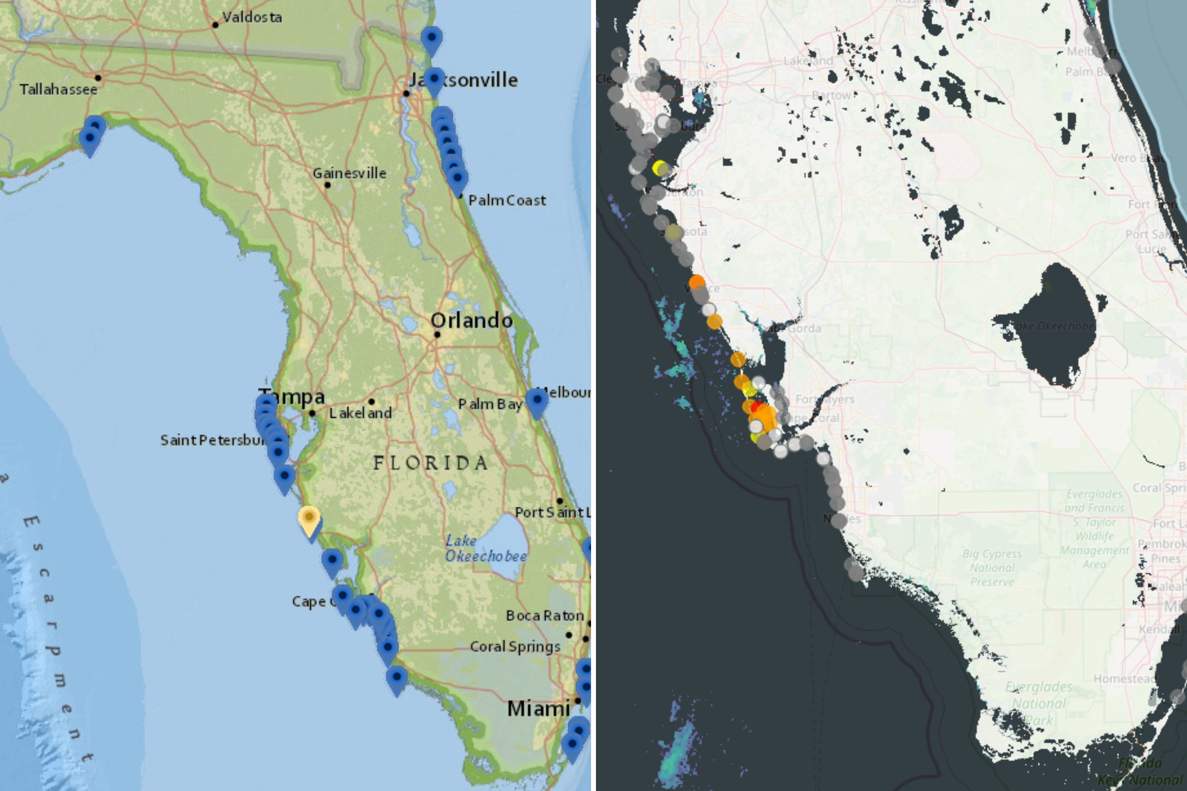 Florida Red Tide Map Shows Harmful Algal Bloom Forecast