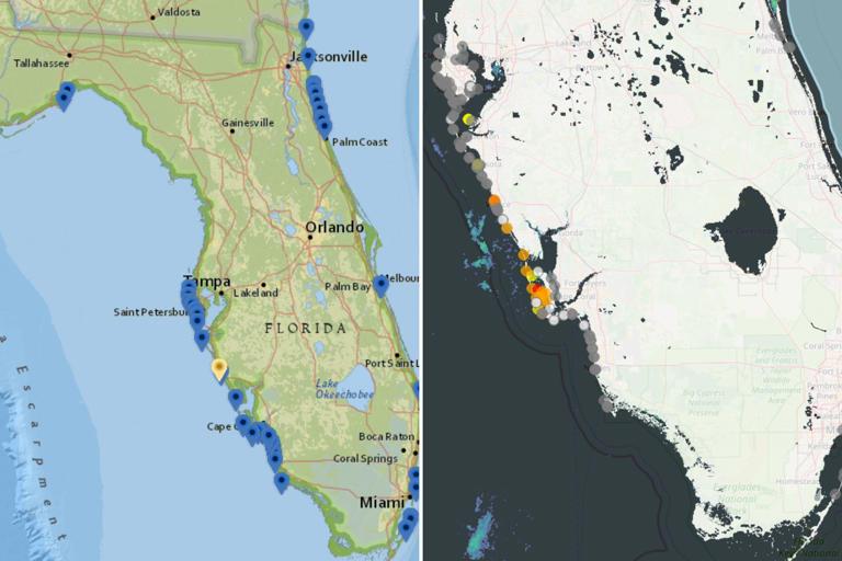 Florida Red Tide Map Shows Harmful Algal Bloom Forecast