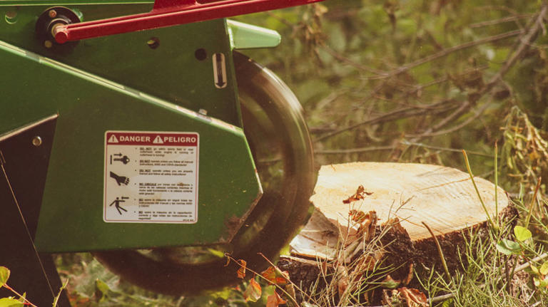 Mistakes Everyone Makes When Removing A Tree Stump From Their Yard