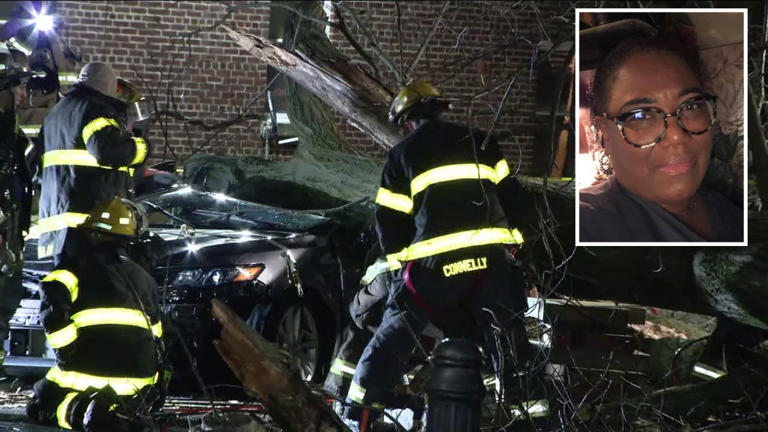 Woman, 65, killed after massive tree falls onto vehicle during wind storm in Philly