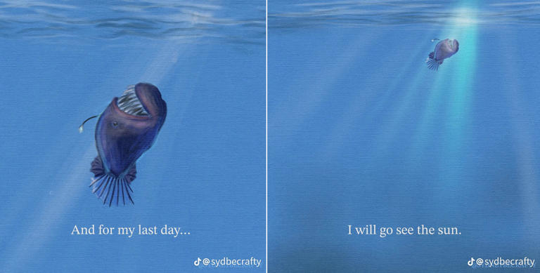 Why Are People Mourning The Death Of An Anglerfish? The Anglerfish Who ...