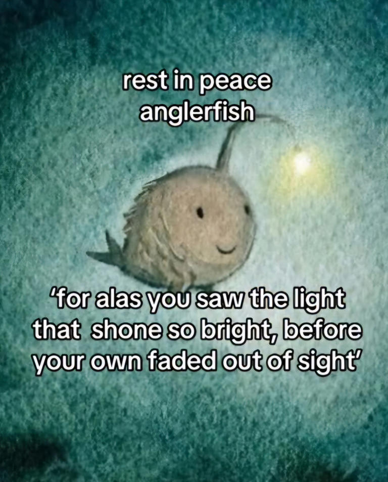 Why Are People Mourning The Death Of An Anglerfish? The Anglerfish Who ...