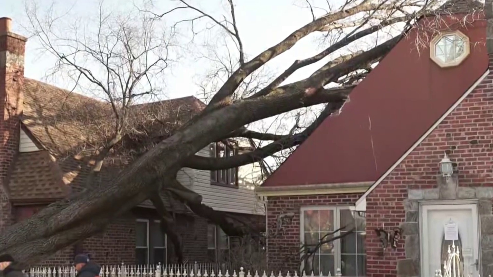 Tree falls on home in Queens, high winds possibly to blame; no injuries ...