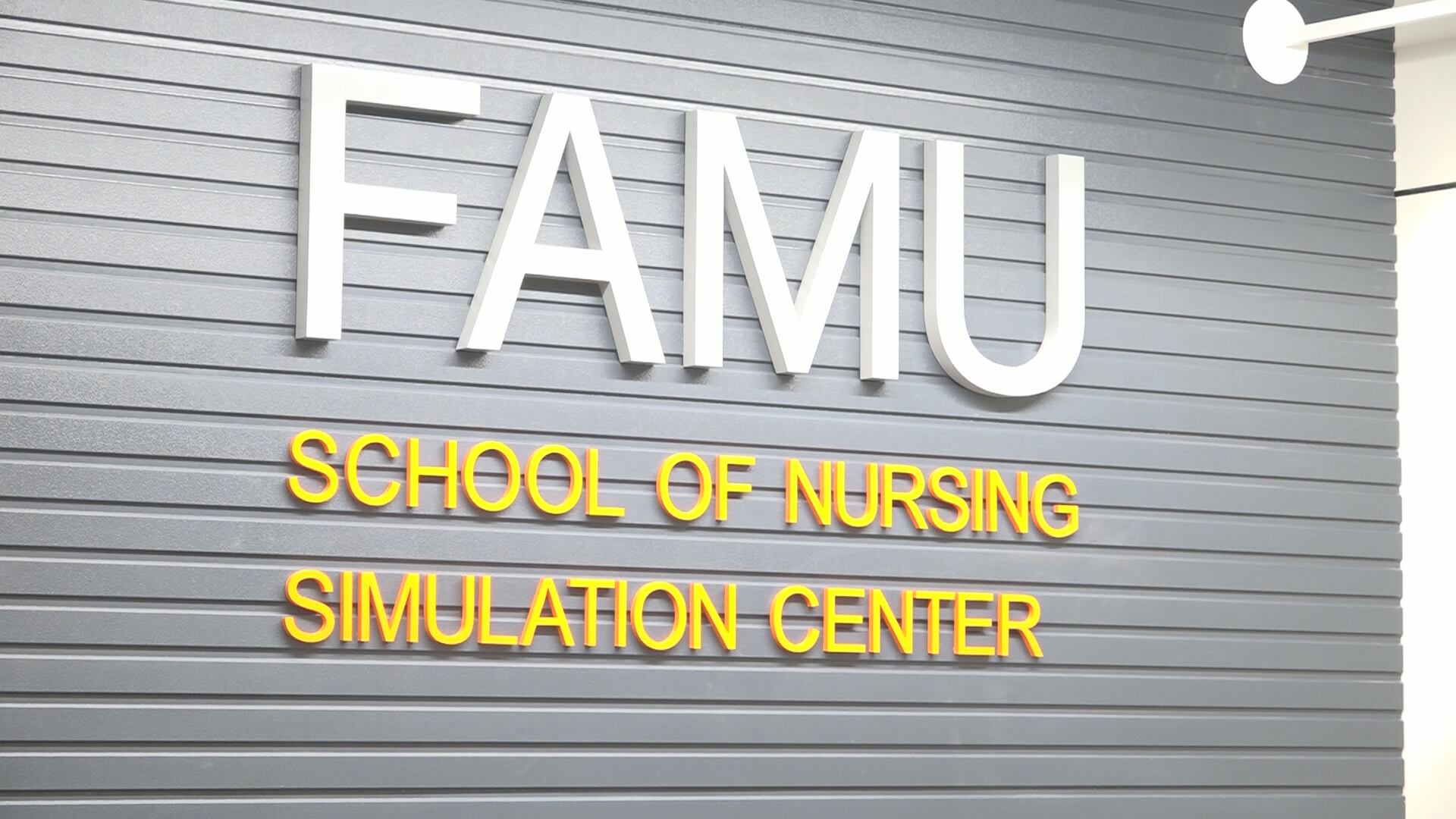 ‘Failure is not an option’: FAMU credits educators with lifting nursing ...