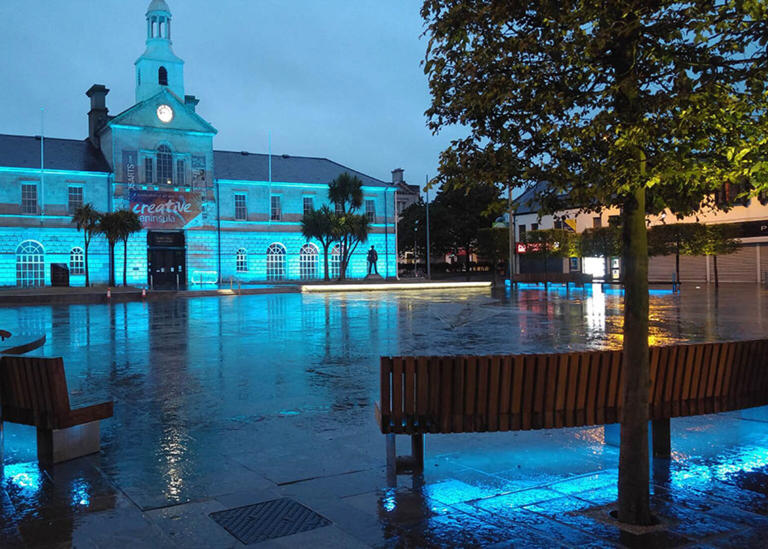 Falcon plan to kill off pigeon problem in town centre square stalls