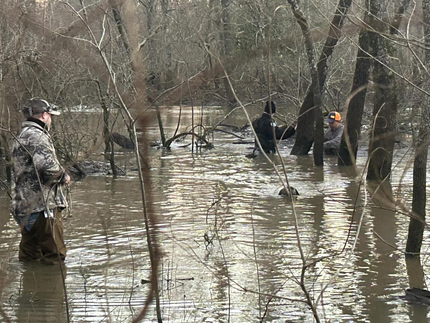 Game wardens rescue Houston County hog hunters from freezing temps