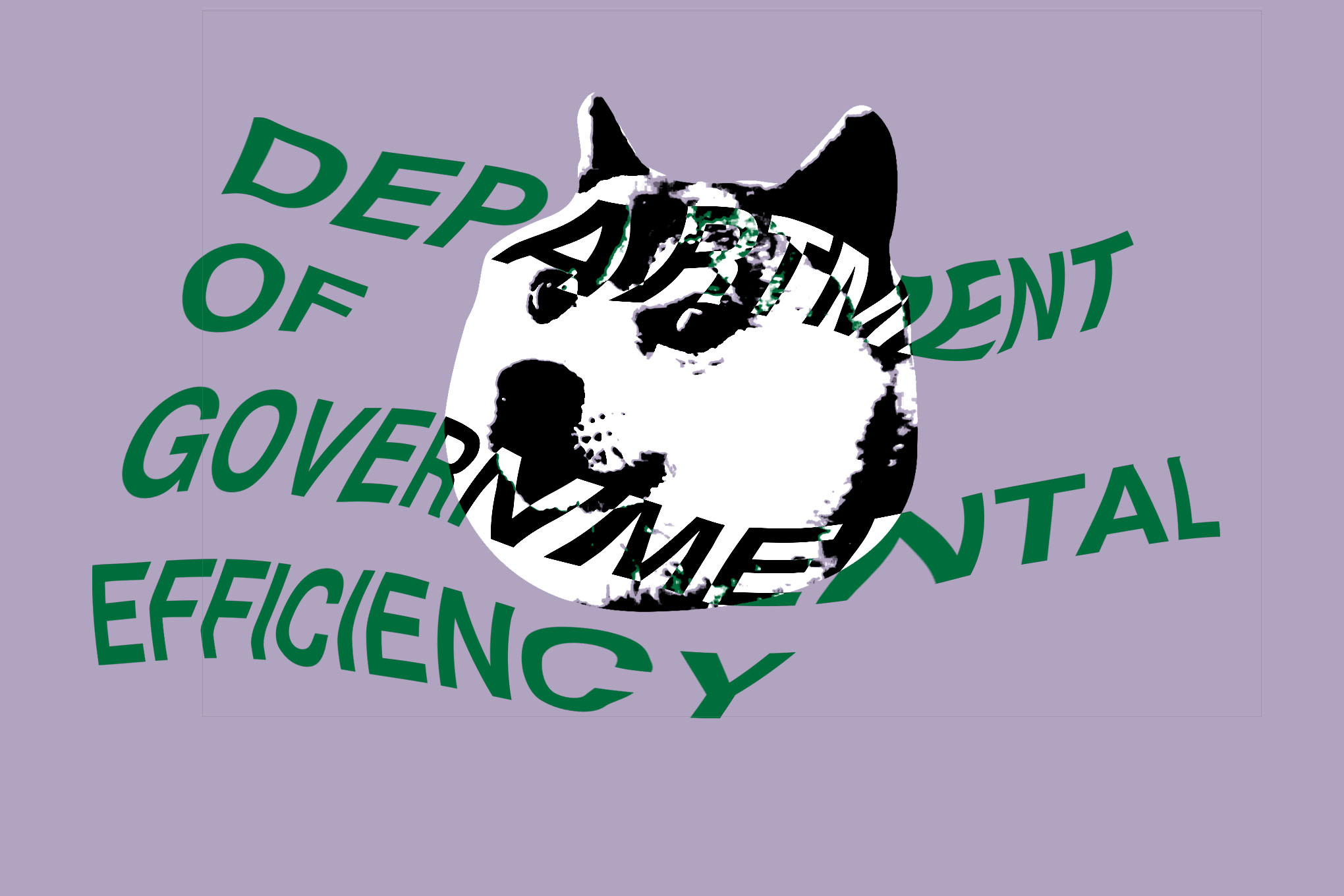 DOGE can keep accessing government data for now, judge rules