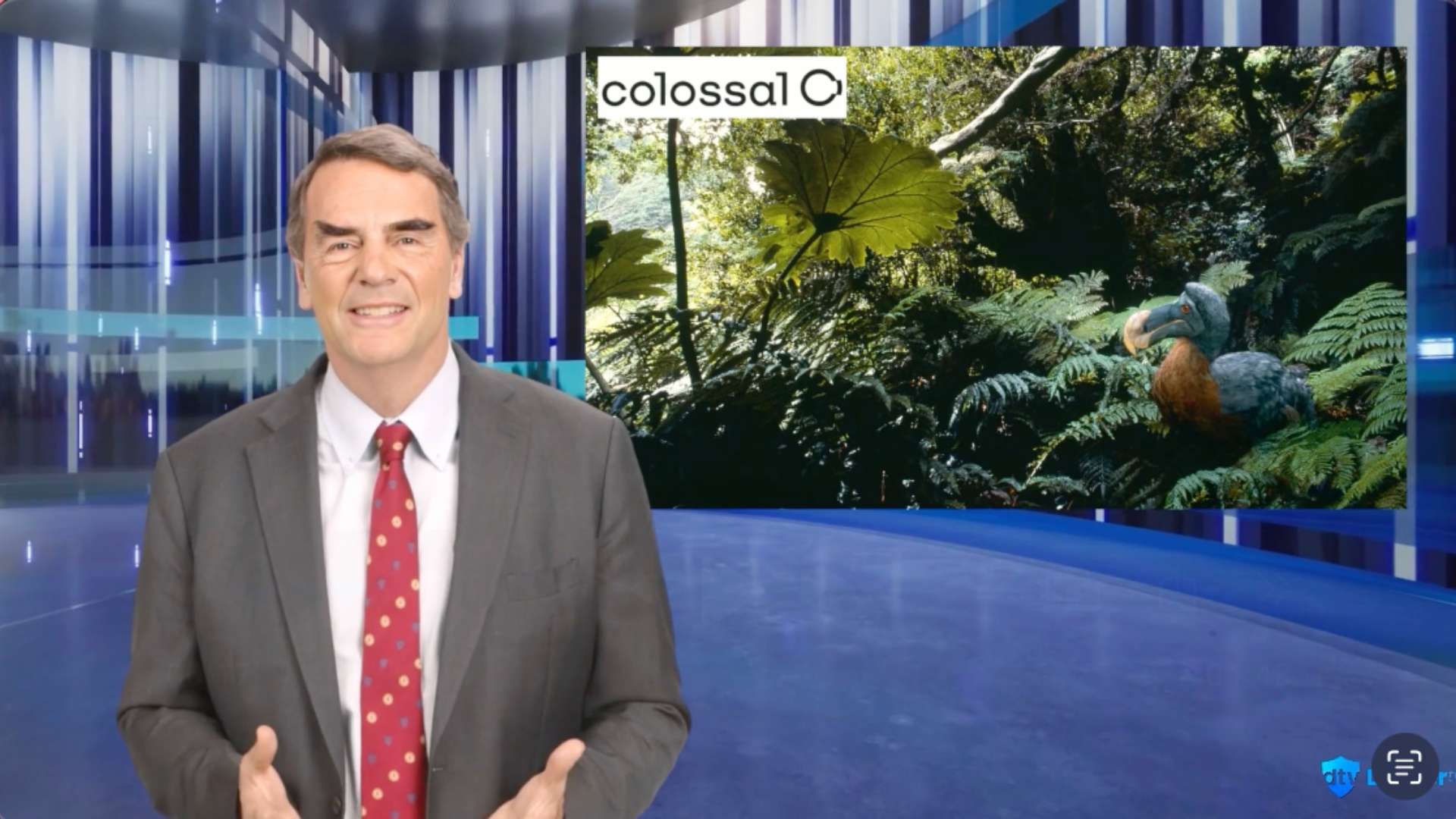 Colossal Raises $200 Million to Bring Back the Dodo and Other Extinct ...