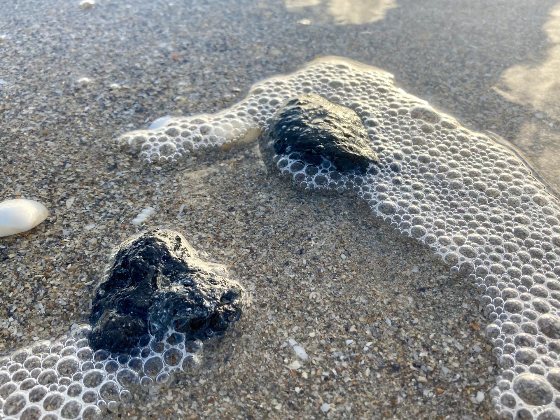 What are tar balls? These black sticky clumps are washing up on Palm ...