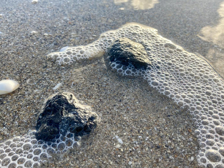 What are tar balls? These black sticky clumps are washing up on Palm ...