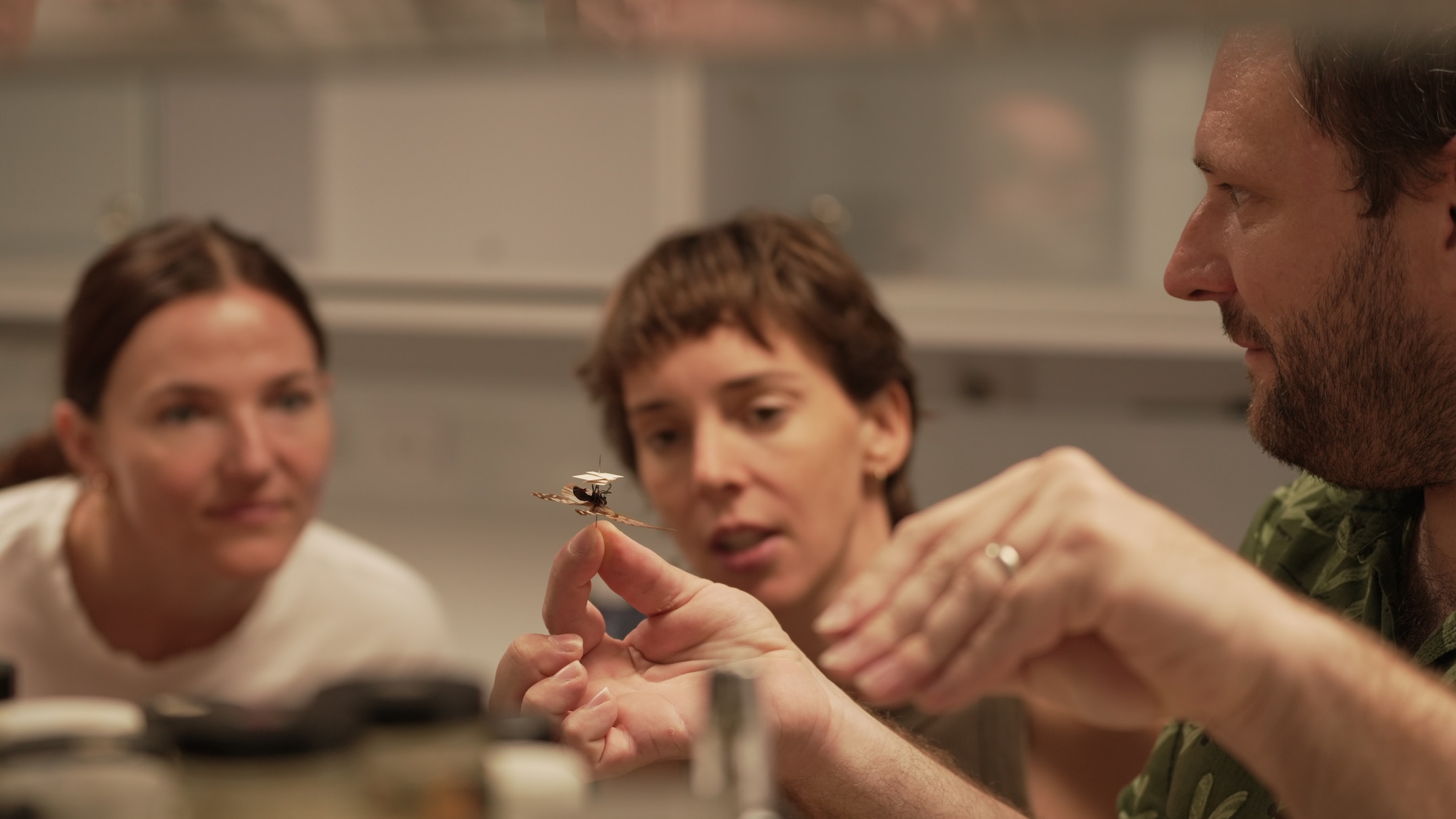 NT insect collection opens doors to citizen scientists to share ...