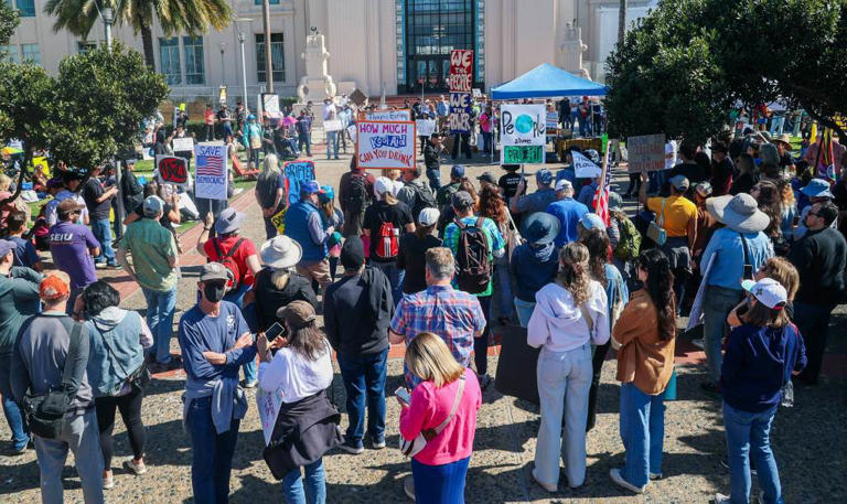Hundreds Rally Locally at 'No Kings On Presidents' Day' Demonstration