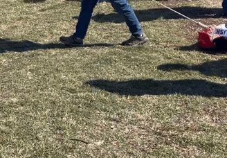 Protester Drags Effigy of Donald Trump Across Lawn in Front of Capitol