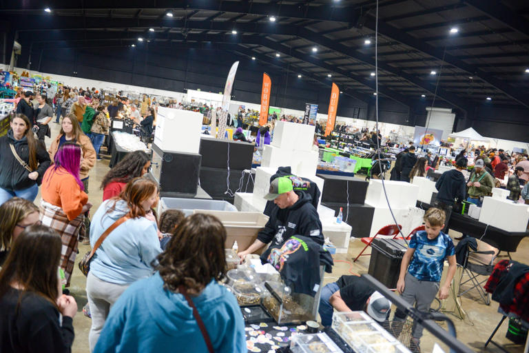 A wild look inside the Jackson Exotic Pet Expo