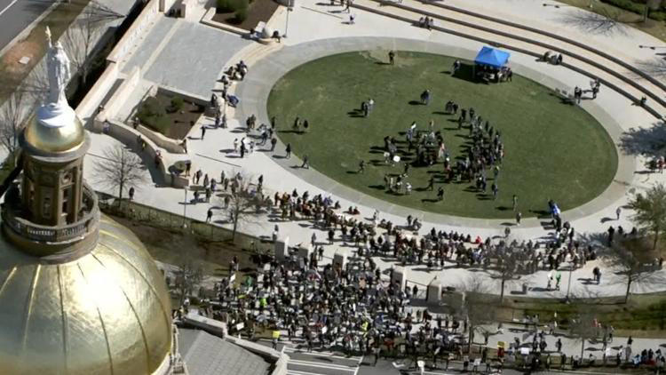Demonstrators rally against Trump, Elon Musk at State Capitol