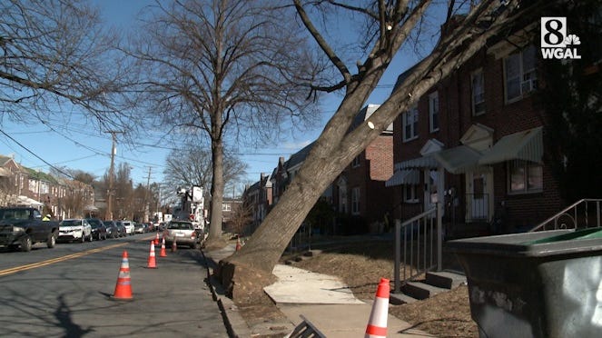 4 displaced after tree falls on home