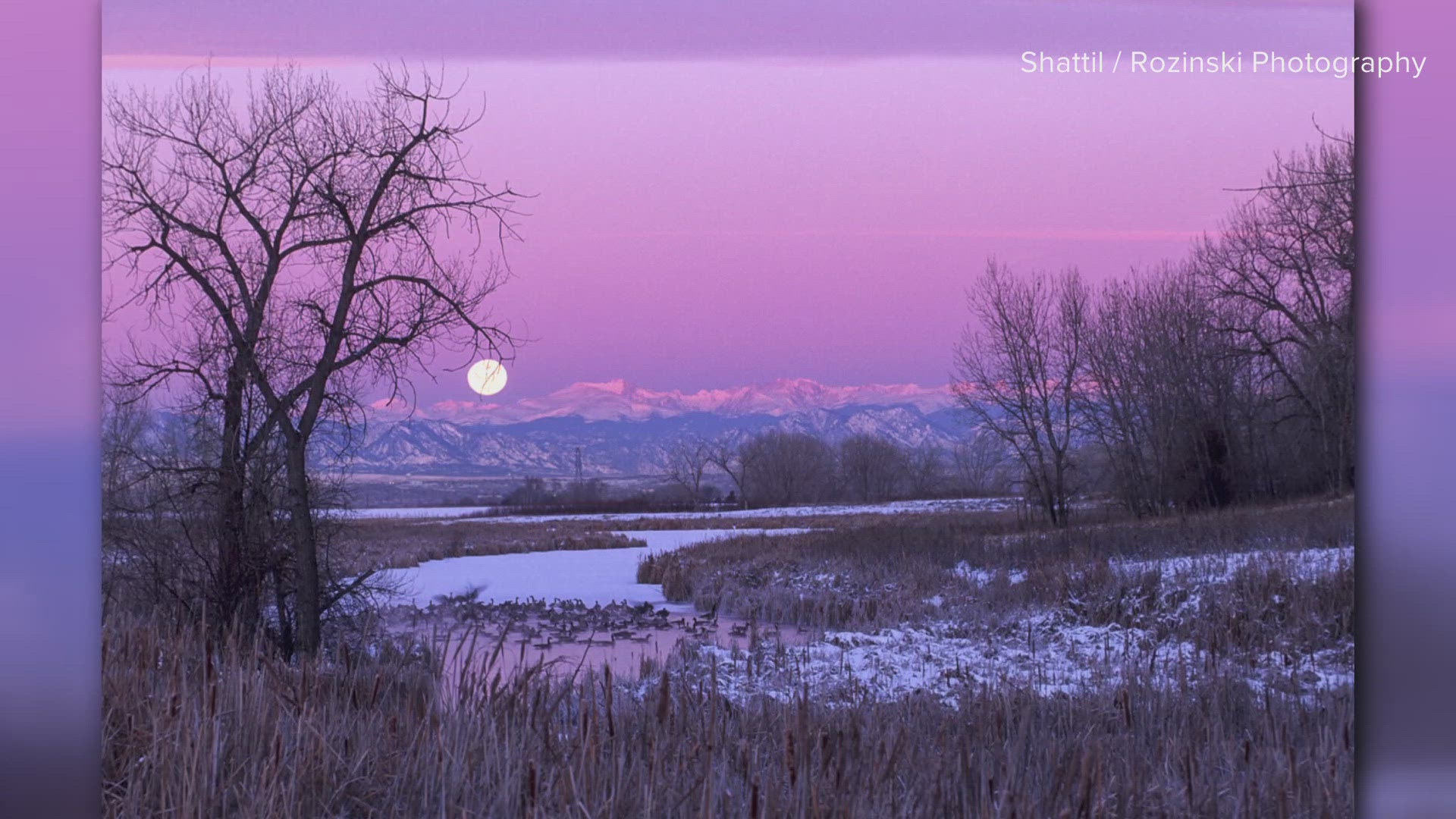 100,000 wildlife photos donated to the Denver Museum of Nature and Science