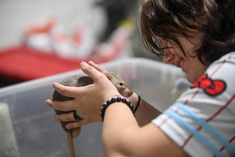 A wild look inside the Jackson Exotic Pet Expo