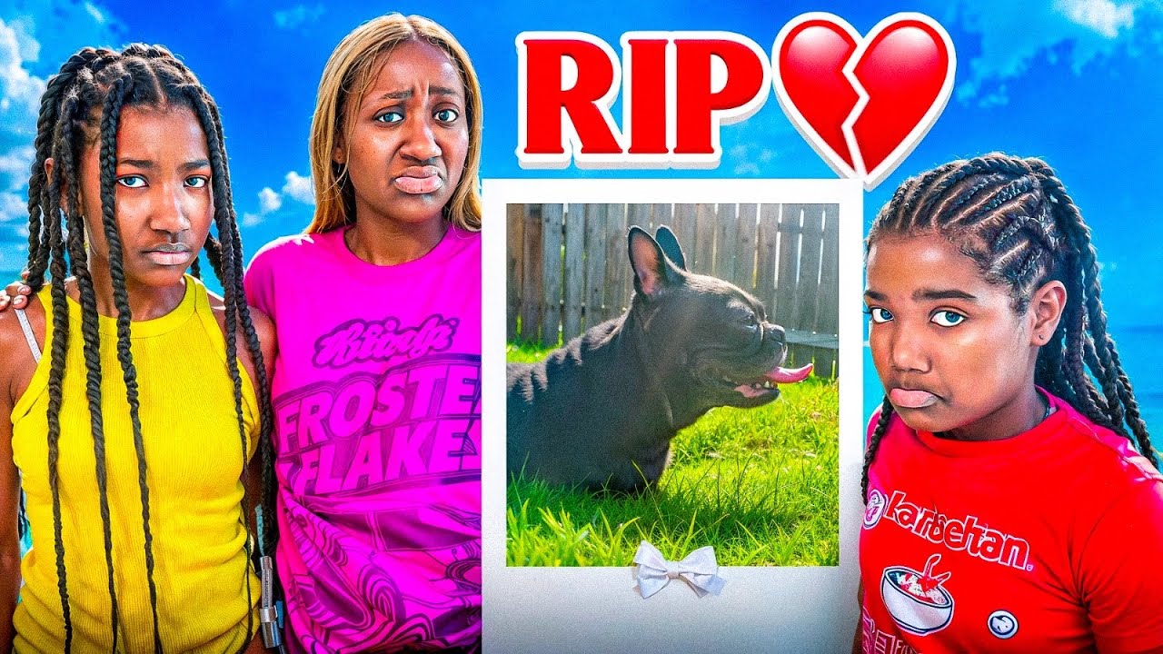 Saying goodbye to Meeka after an emotional loss