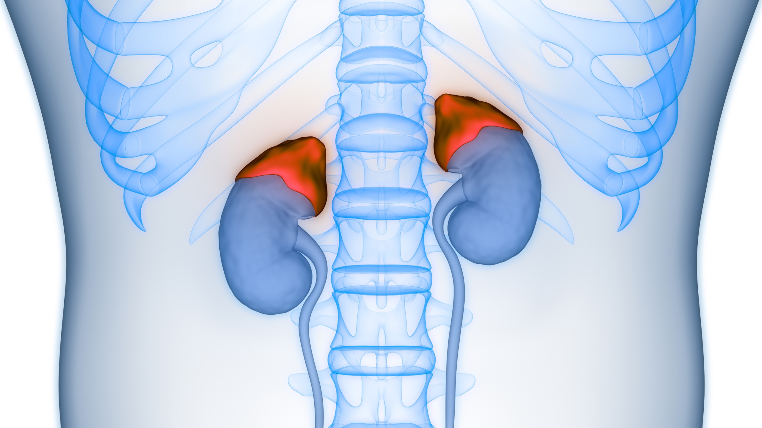 Maladie d'Addison : comprendre en profondeur cette affection chronique