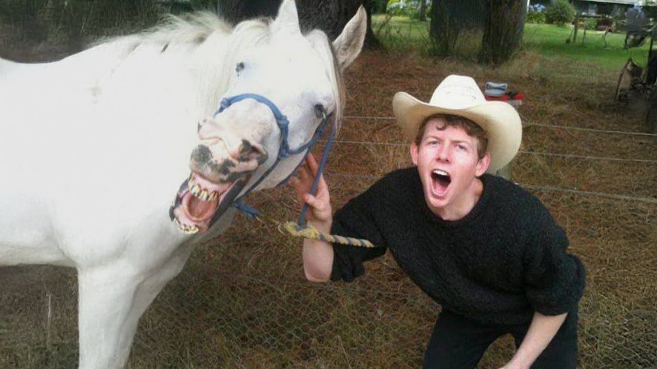 Incredible animal and human clips that will blow your mind