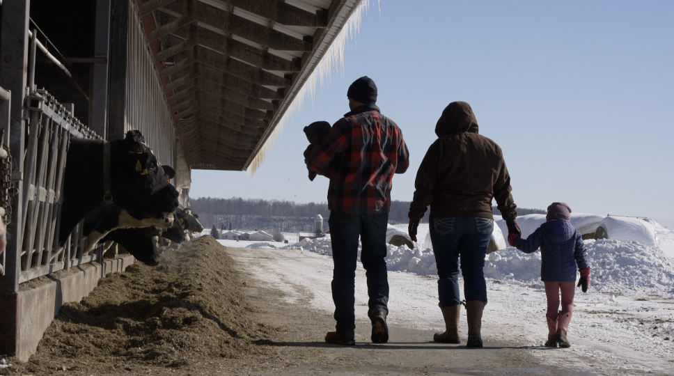Top 10 in the country: Wisconsin dairy farmer given national award