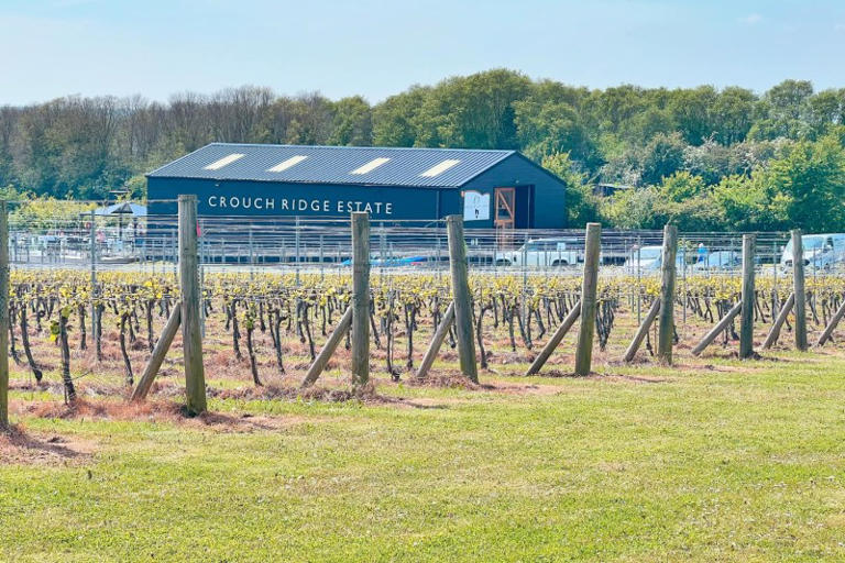 English wine is showing serious promise