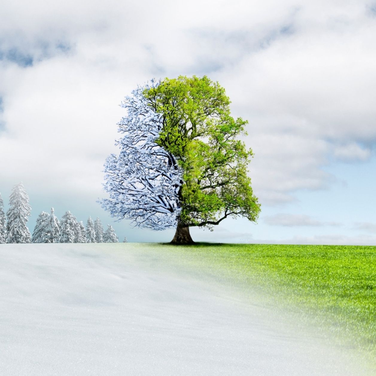 La France coupée en deux : neige et froid glacial sur une partie du ...