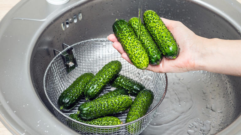 14 Mistakes You Are Probably Making With Cucumbers