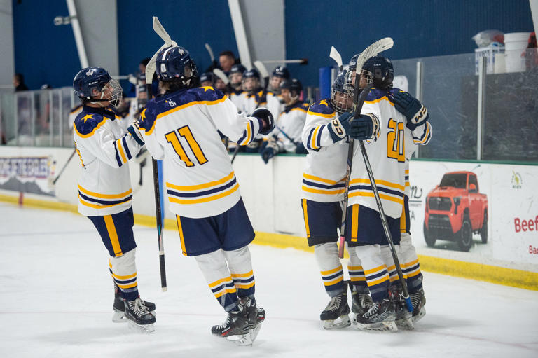 No. 1 PSD Stars stomp Mountain Vista in Colorado hockey quarterfinals ...
