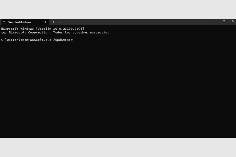 Cómo forzar actualizaciones de Windows