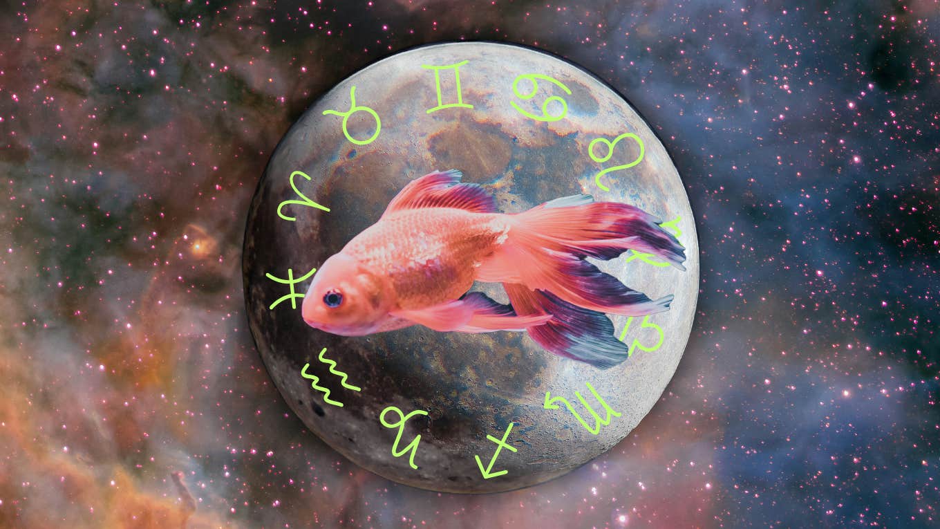 The Daily Horoscope For Each Zodiac Sign On February 18 — Pisces Season ...