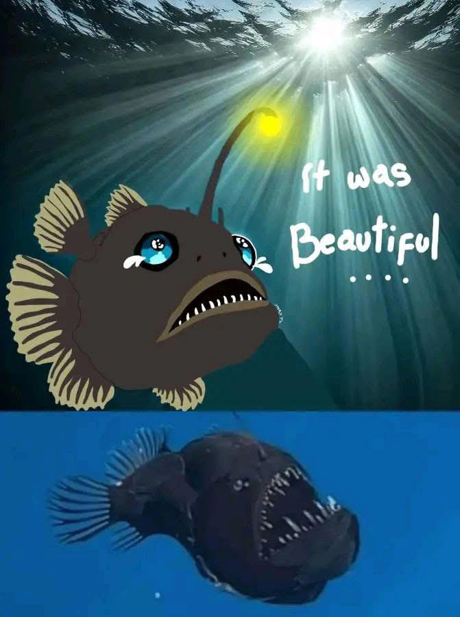Why Are People Mourning The Death Of An Anglerfish? The Anglerfish Who ...