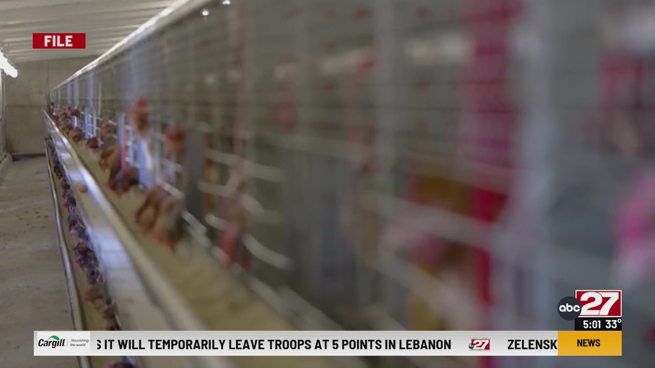 Pennsylvania lawmaker says vaccinating poultry is key in stopping bird flu